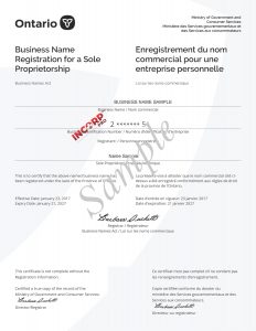 Master Business Licence: Steps to Successful Registration