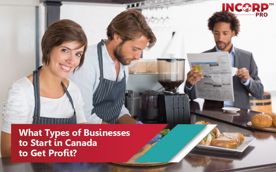 What Types of Businesses to Start in Canada to Get Profit?